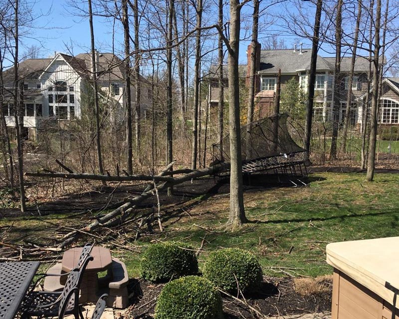 Storm Damage Emergency Tree Services - Great Dane Tree Experts