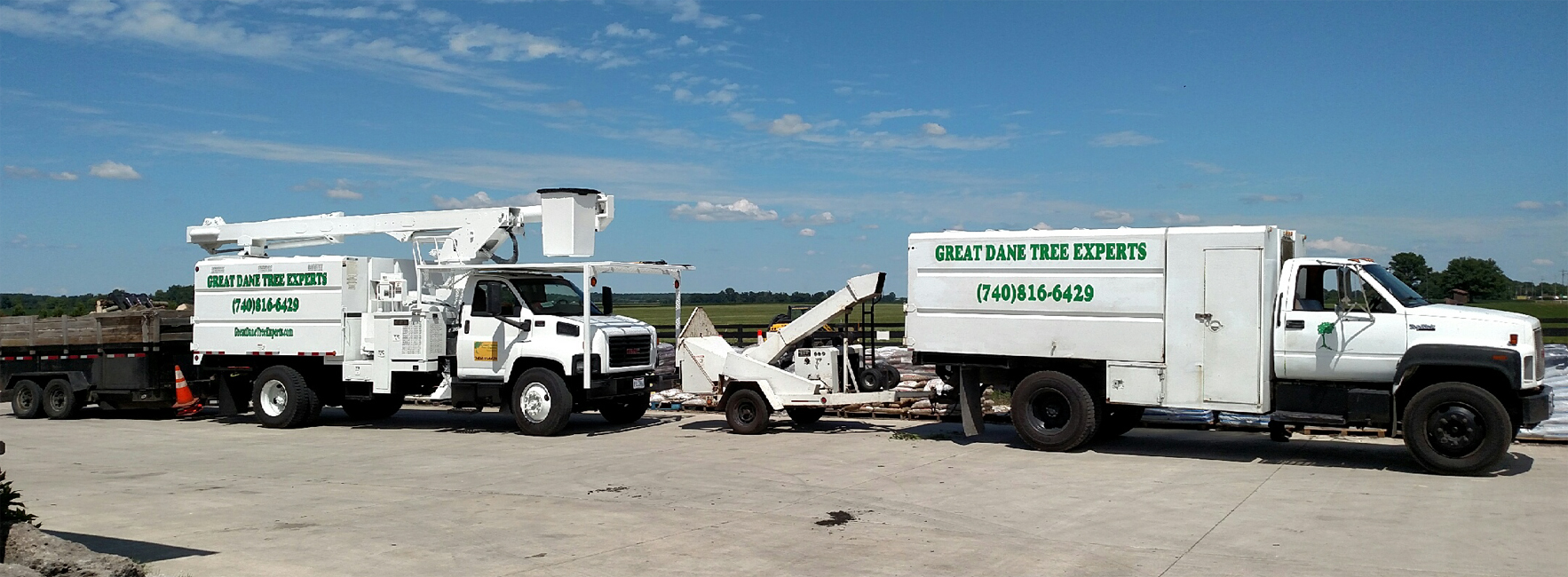 About Great Dane Tree Experts